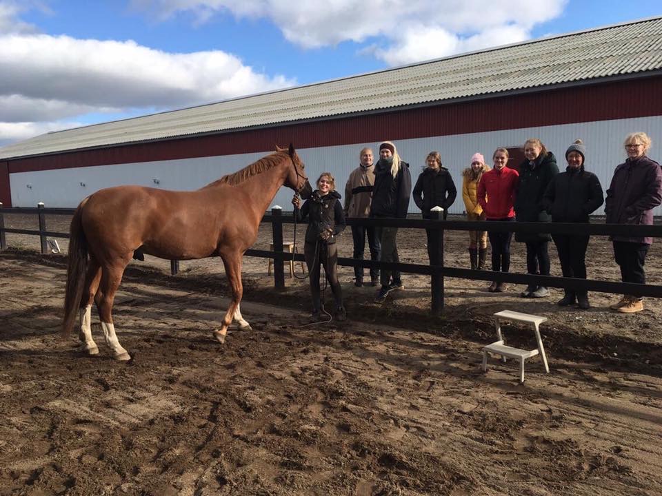 Foredrag & demo - Line Bonde