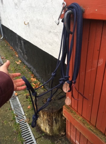 Horsemanship udstyr & tilskudsprodukter - Line Bonde