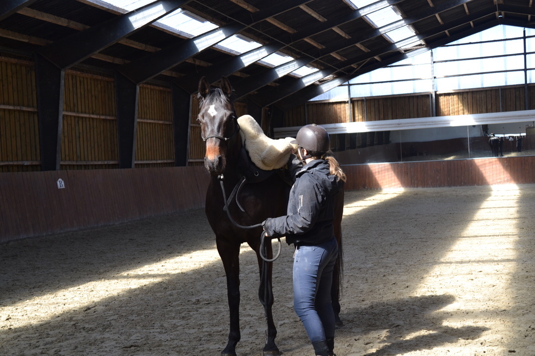 Tilridning - Line Bonde