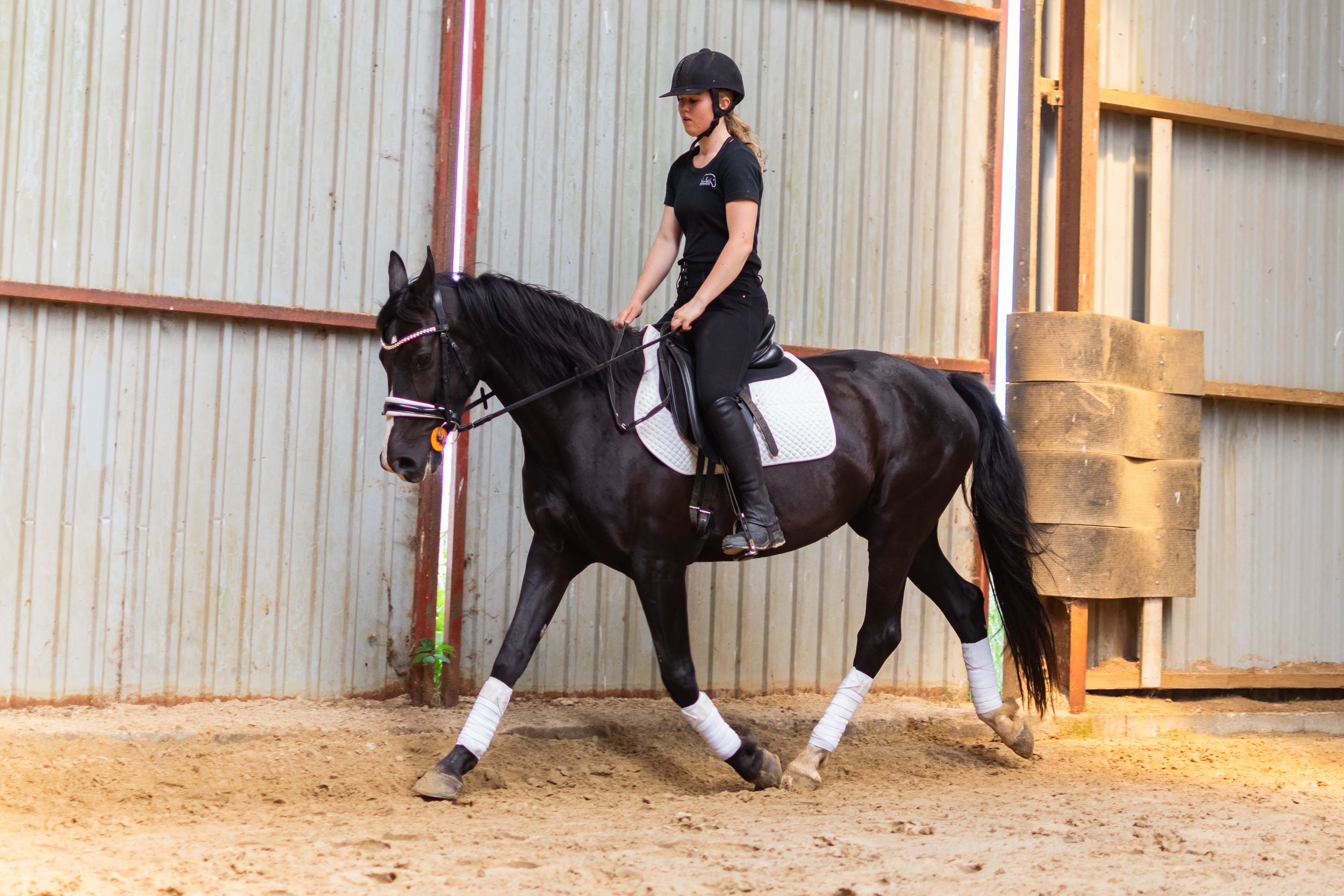 Hvordan håndtere man det når hesten bliver usikker? - Line Bonde