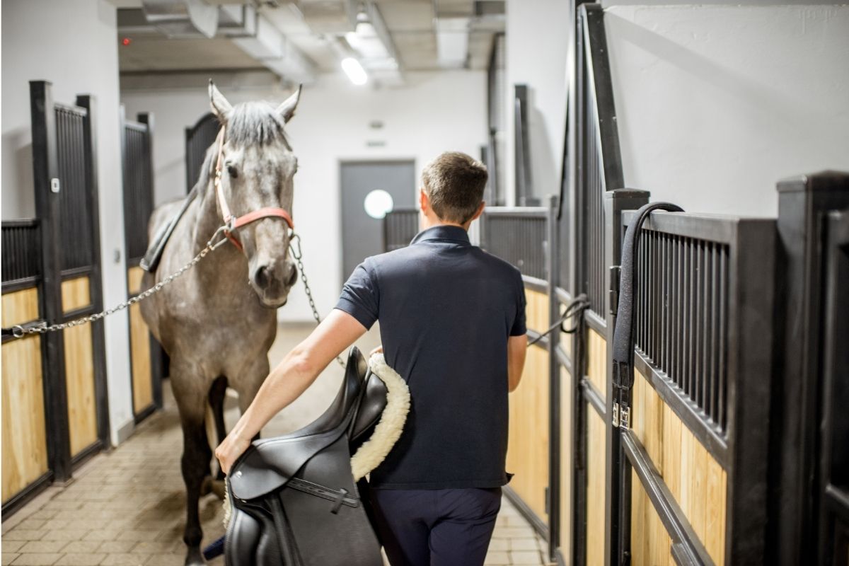 Er din hest sur ved opsadlning? - Line Bonde